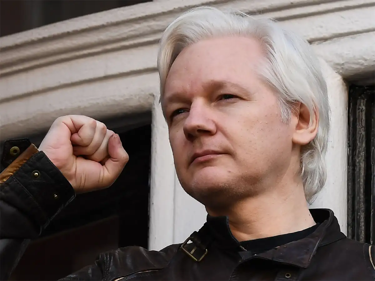 Julian Assange: Dr D's column: Of cats, consent and cuddles - The ...