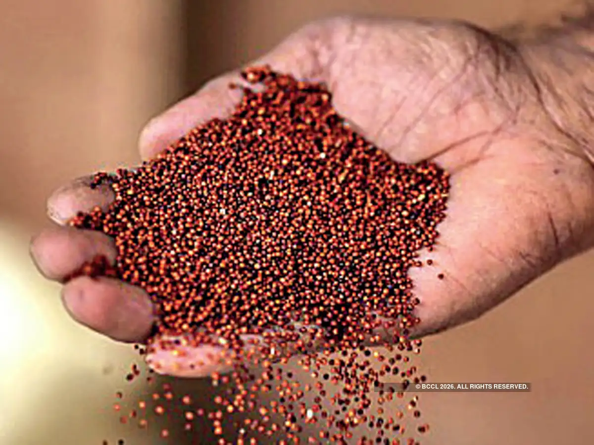 Your diet may be good for health, but is it delicious? Bet not - The ...