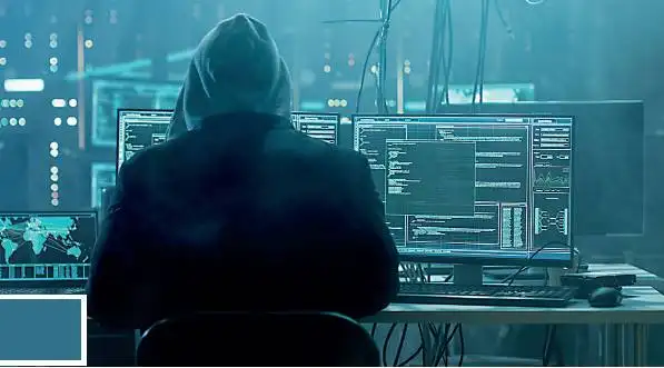 bug bounty hunters: The growing tribe of bug bounty hunters in ...