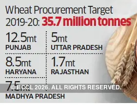 Wheat: Govt sets wheat procurement target at 35.7 MT - The Economic Times