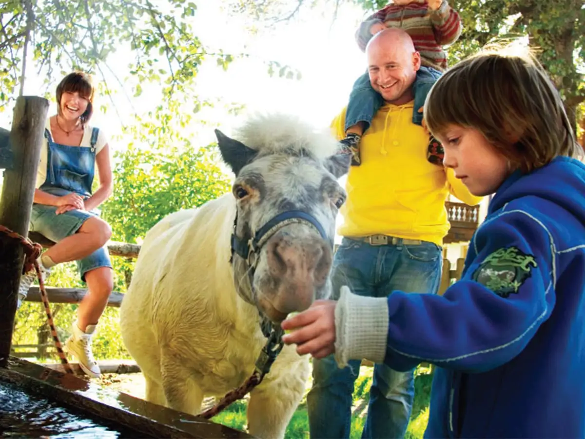 This summer, take a farmhouse vacation and enjoy brimming activities ...