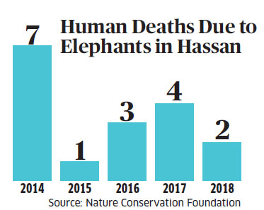 With human-elephant conflict taking more lives on both sides, stakeholders are split over a ...