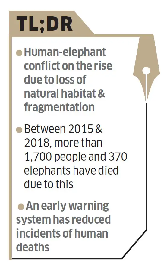 With human-elephant conflict taking more lives on both sides, stakeholders are split over a ...