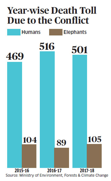 With human-elephant conflict taking more lives on both sides, stakeholders are split over a ...