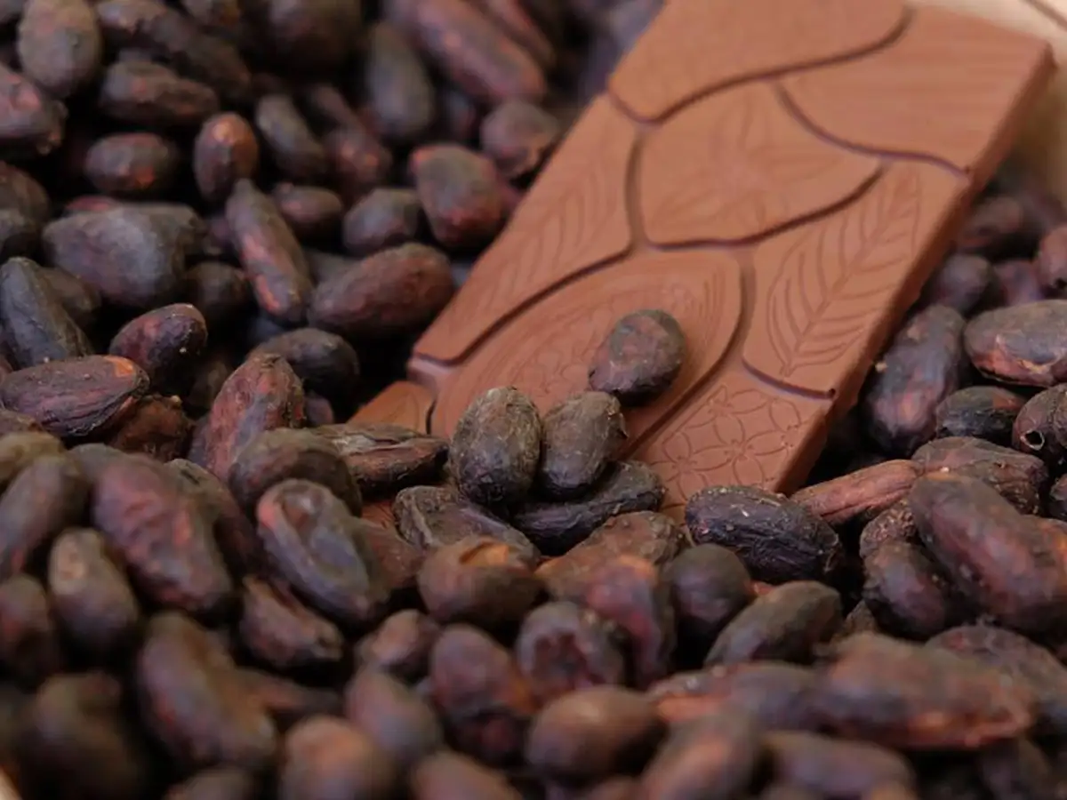 chocolate: How Asian chocolatiers are winning over with artisanal sweet ...