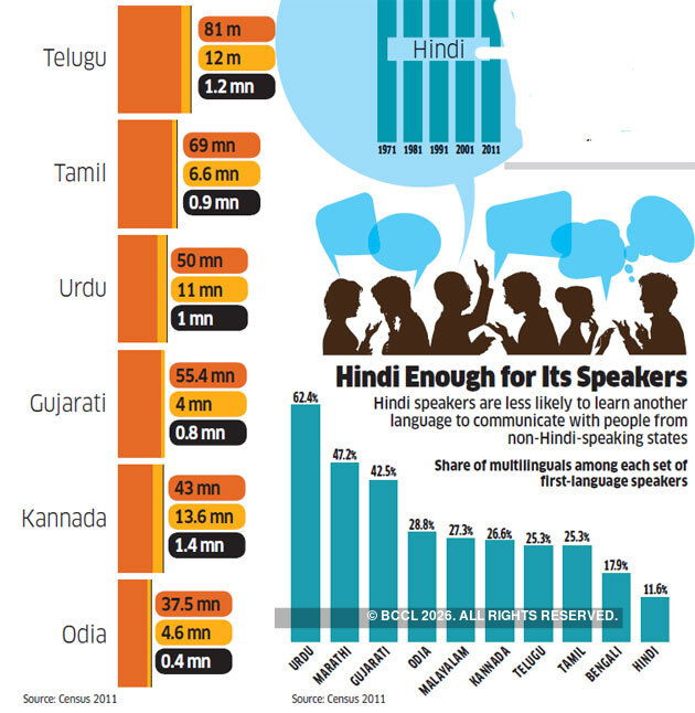 linguistic diversity of india: India’s linguistic diversity: Explained ...