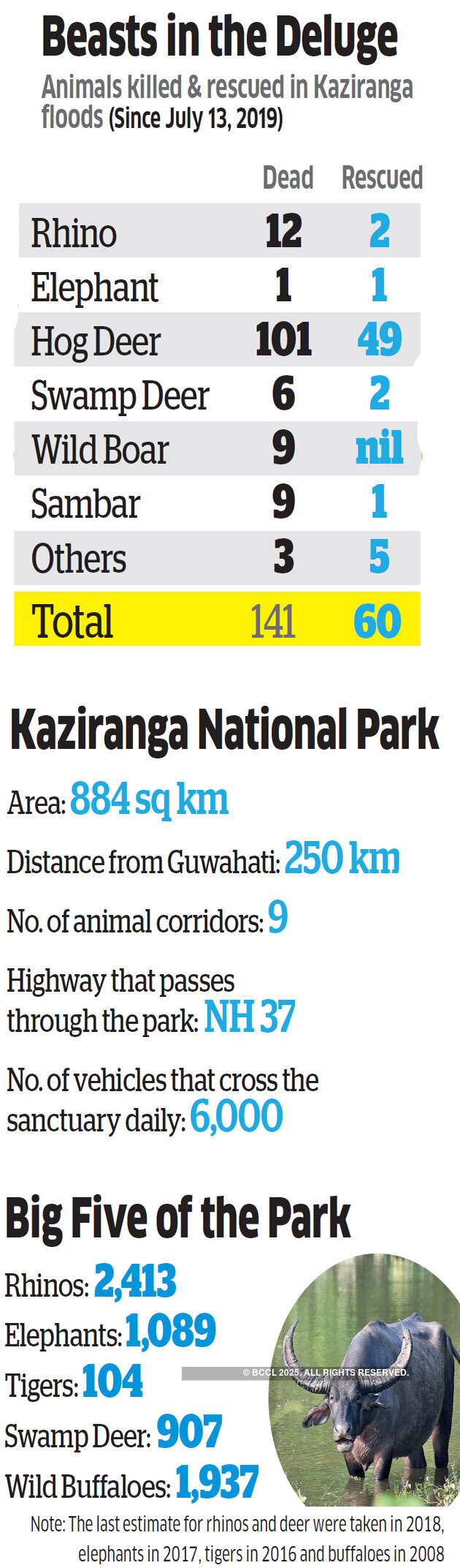 Assam Floods: How 2,400 rhinos in Kaziranga are fleeing for their lives ...