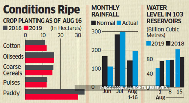 Monsoon rebound prepares ground for bumper harvest - The Economic Times