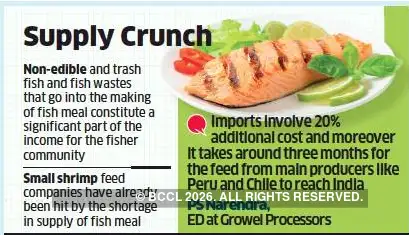 fish prices: Fish prices crash; Feed cos close as fish meal industry ...