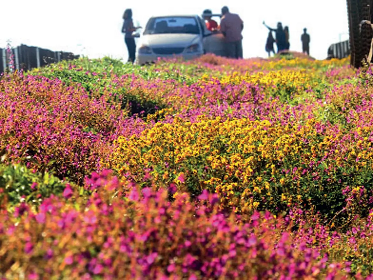 West bengal: Exploring Kalimpong: An underrated trekking spot in West ...