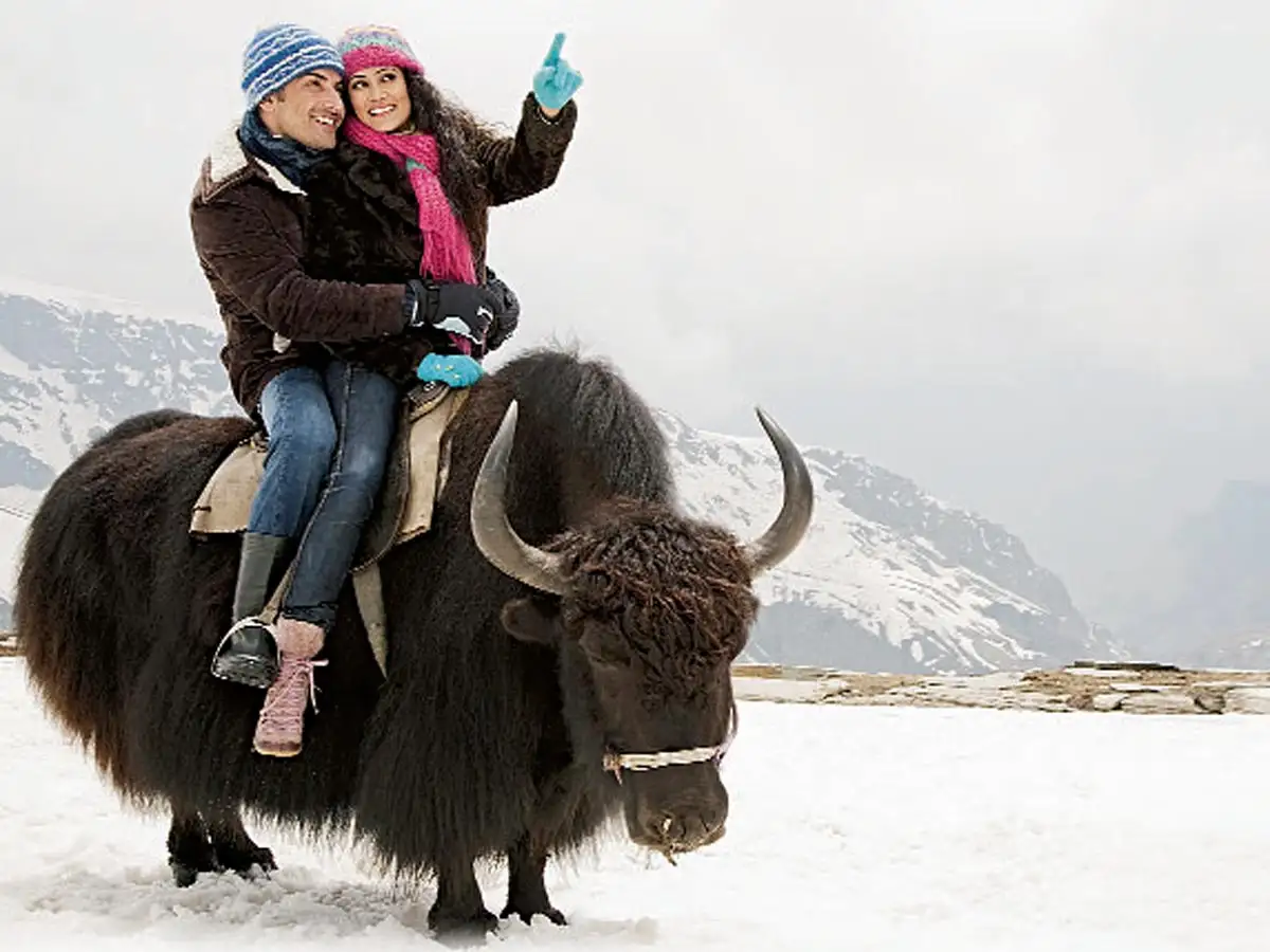 Winter experiences: Winter experiences in India: Celebrate the cool ...