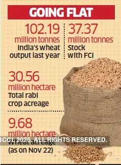 Wheat: High sowing, stocking to keep wheat prices stable - The Economic ...