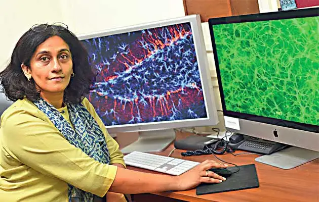 Nine women scientists who are doing phenomenal work - The Economic Times