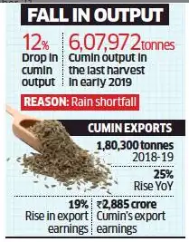 Jeera farmers expect a good crop despite delayed sowing - The Economic ...