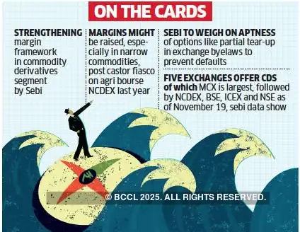 sebi: Sebi may raise trading margins in commodities - The Economic Times
