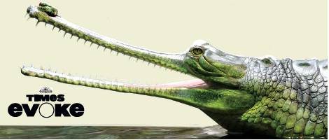 gharials: Extinction Watch: Top predators Gharials may vanish in near ...