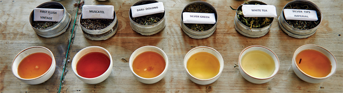 tea plantations: Save the brew: Tourism will help Darjeeling, but the ...