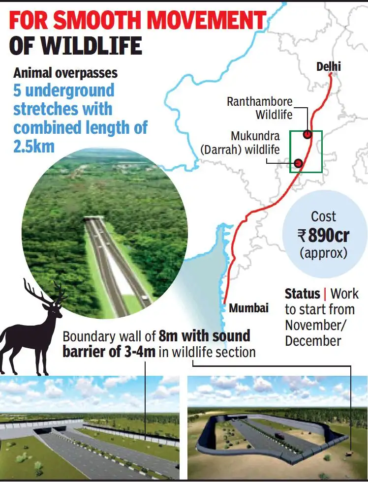 Delhi-Mumbai e-way to have India’s first 5 ‘animal bridges’ - The ...