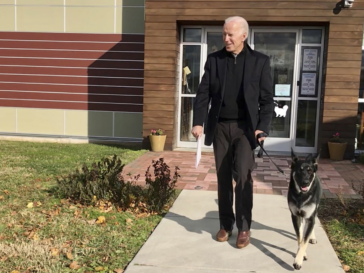 joe biden pets: Major Biden will have to share the White House with ...