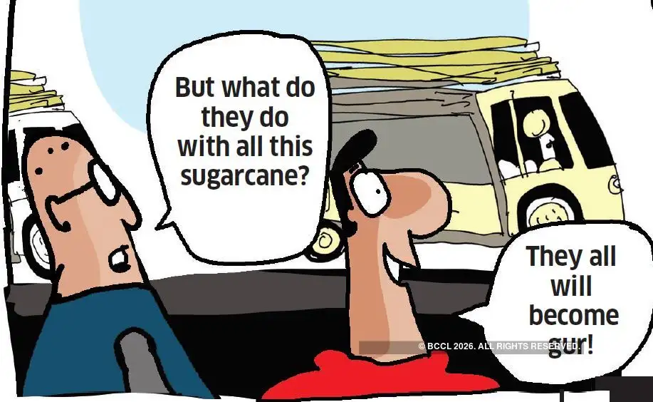 Jaggery to rule them all: Sakkarai Pongal, Gajak, Tilgul and other gur ...