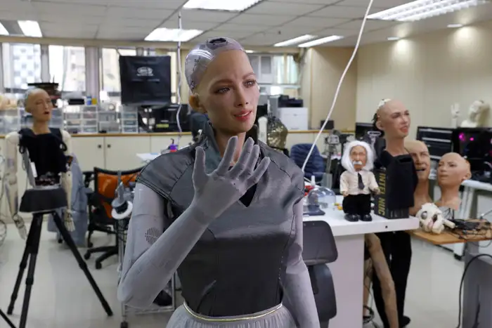 Every household will have a Sophia robot by end of the year - The ...
