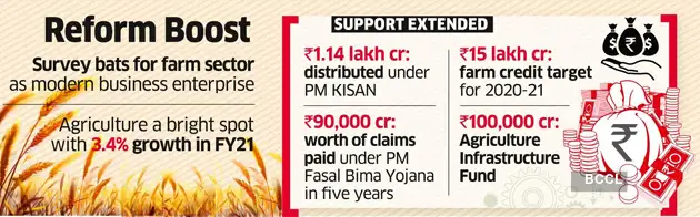 New farm laws herald new era of market freedom: Economic Survey - The ...