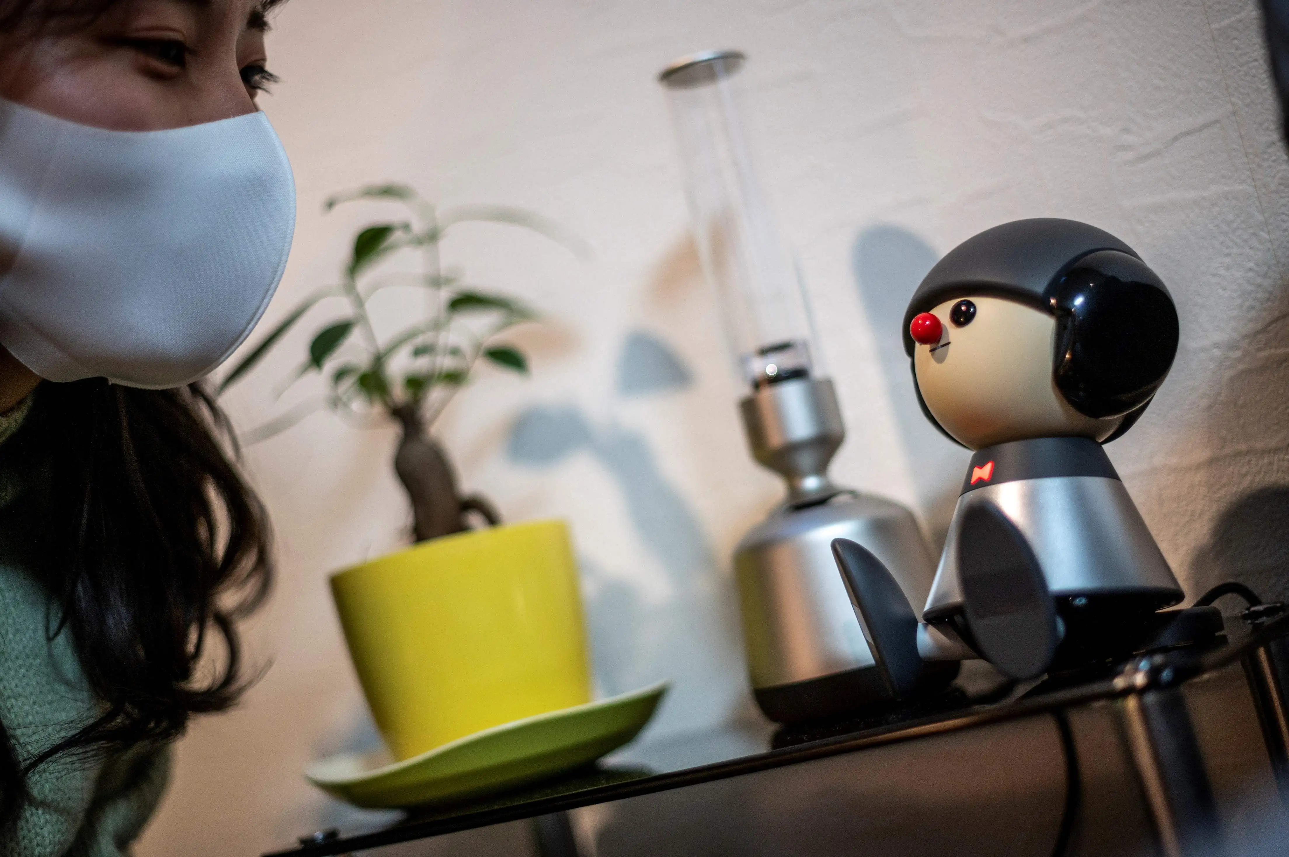 Robot pets bring comfort, help humans ease Covid isolation in pandemic ...