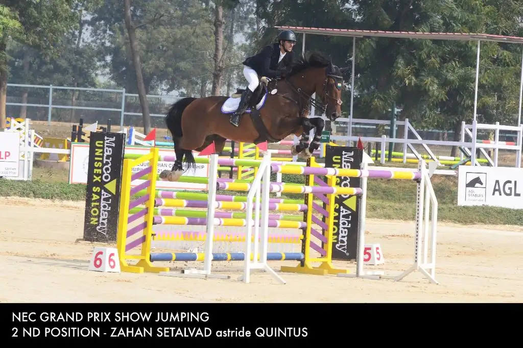 Mumbai-based Setalvad siblings shine at National Equestrian ...