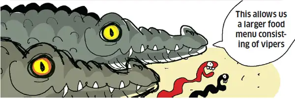 Venom and stings: The most venomous marine animal is a jellyfish — and ...