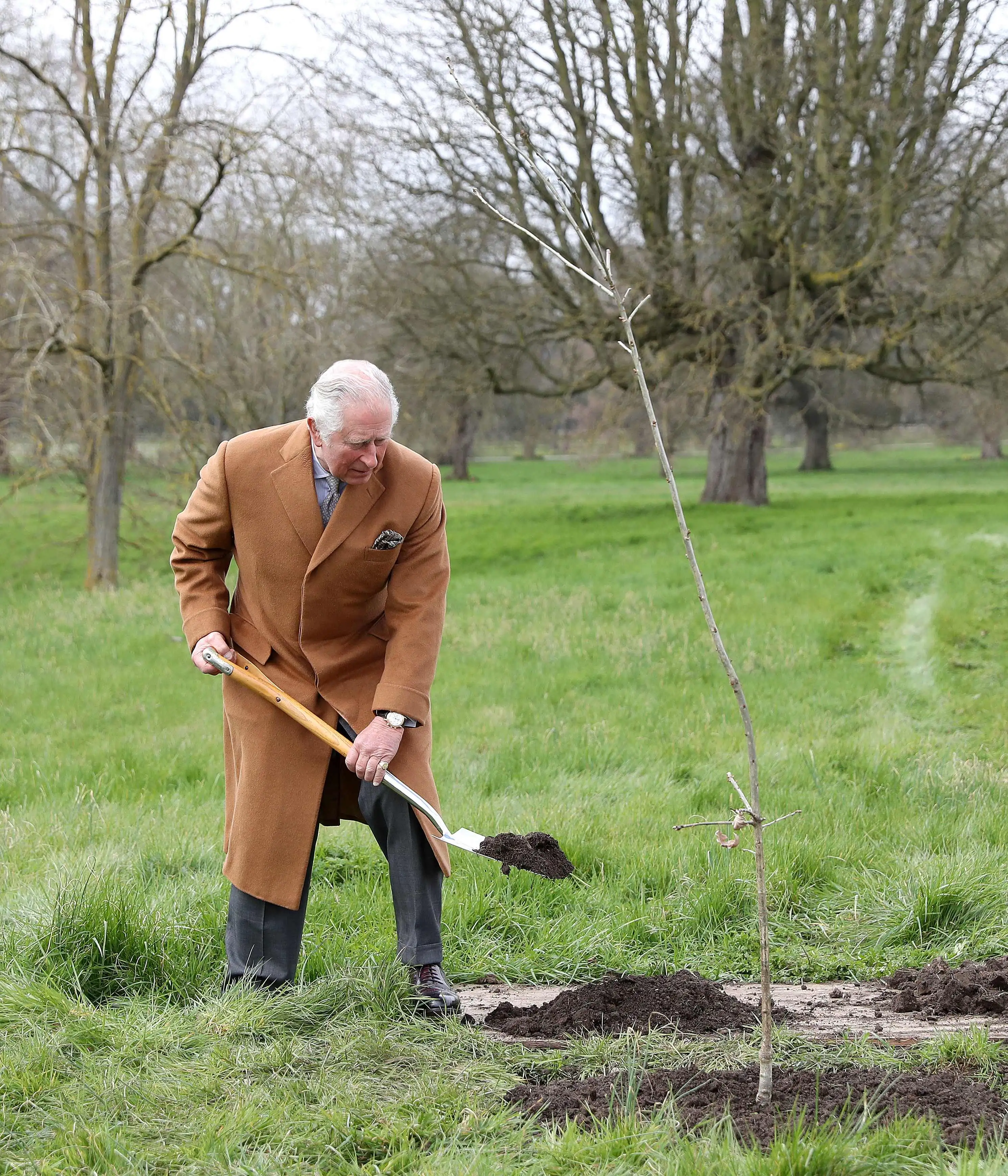 'Tree-bilee' with the Queen: Prince Charles launches 'Plant a Tree ...