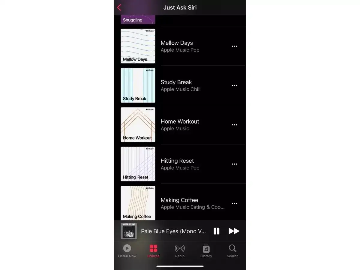 Apple Music Voice Plan: Premium audio experience through the power of ...