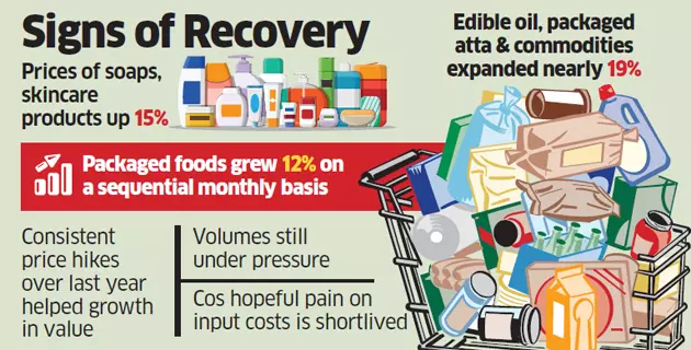 home care: FMCG sales grow in February, But home care products decline ...