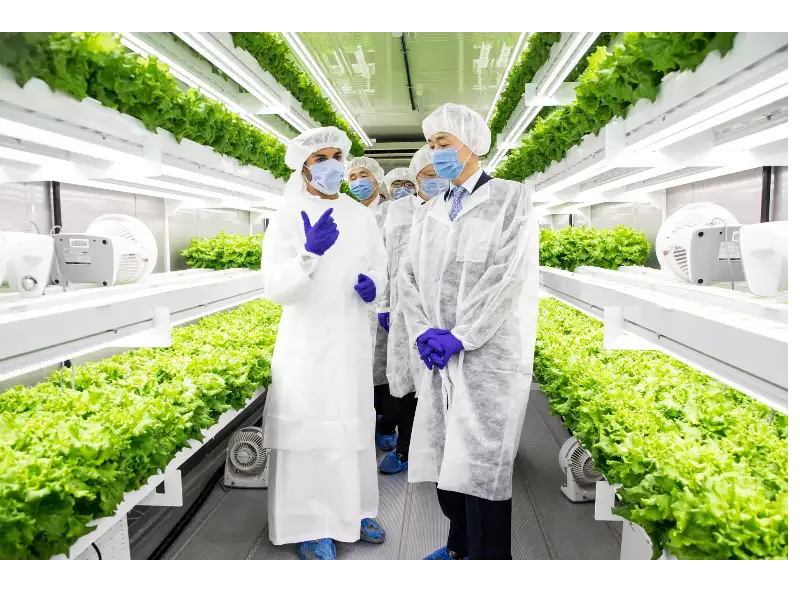 Dubai Leading UAE’s Vision to Achieve Food Security - The Economic Times
