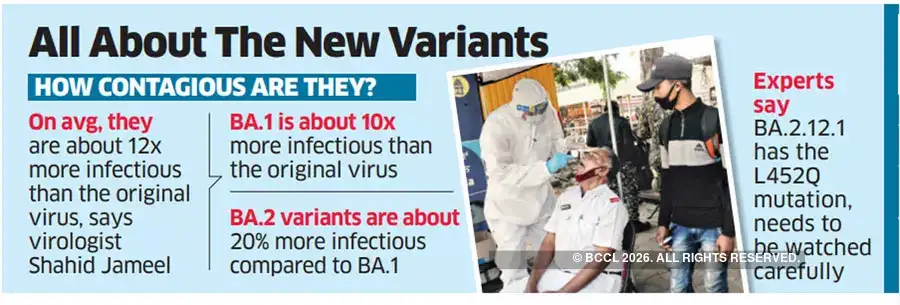 omicron: New Omicron sub-variant may be driving spike in cases - The ...