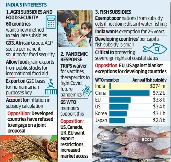 WTO News: WTO Ministerial: Key issues on agenda - The Economic Times