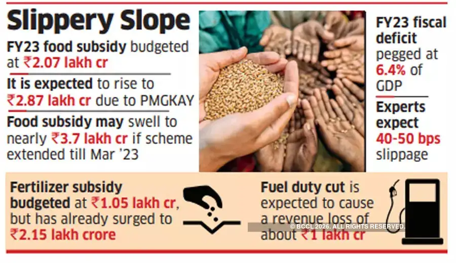 Free Food Scheme: Finance ministry red flags extending free food scheme ...