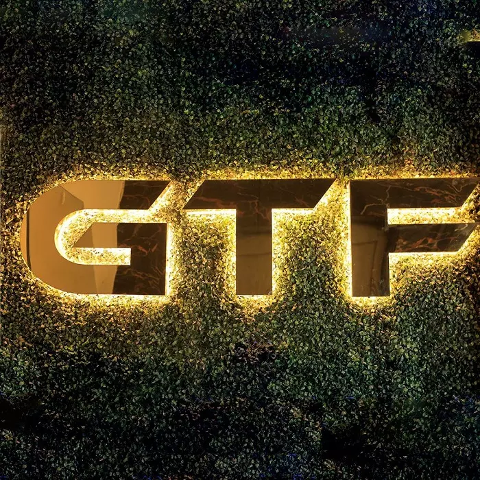 The success story of GTF: A leading stock market institute bringing out ...