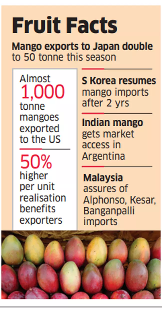 mango exports: Demand from US, Japan, new markets revives mango exports ...