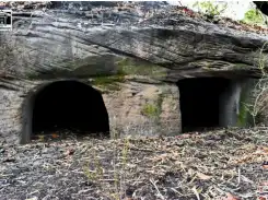 Buddhist caves: ASI discovers 20 Buddhist caves in Bandhavgarh forests ...