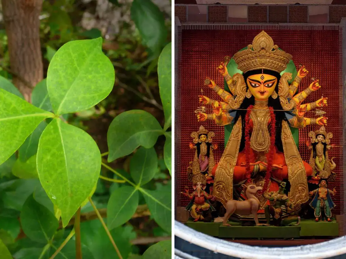 Durga Puja rituals: ‘Bodhon, Sandhi Puja & Dhunuchi Nach’ are some ...