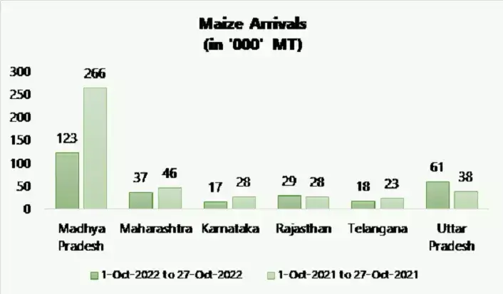 maize harvest: New crop arrival begins to build pressure on Maize ...