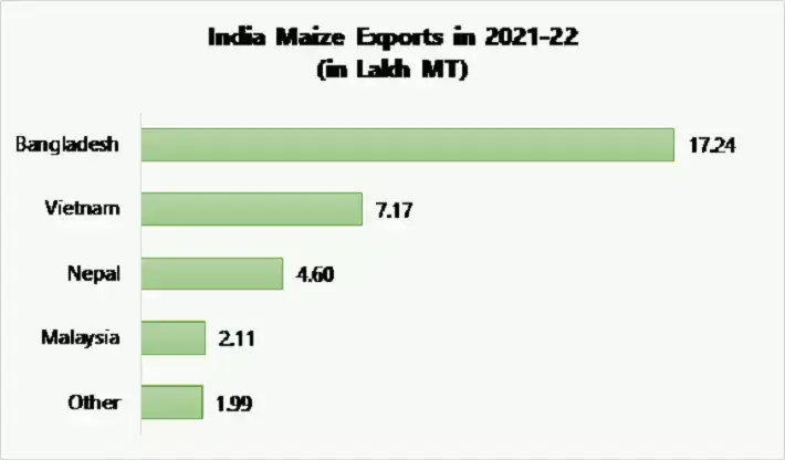 maize harvest: New crop arrival begins to build pressure on Maize ...