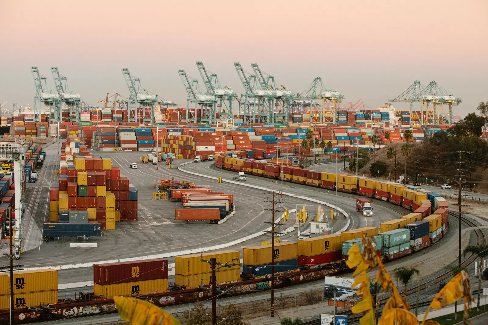 Importer | Cargo: What one importer's legal fight says about the power ...