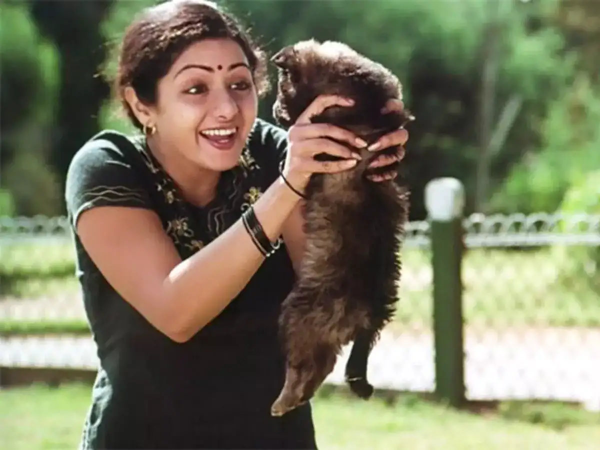 Remembering Sridevi: From 'Sadma' to 'English Vinglish', legacy of ...