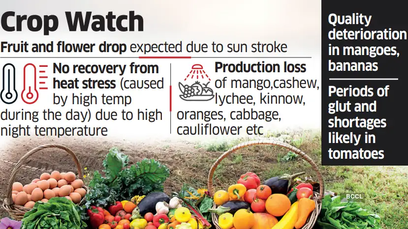 Heat may scorch fruit, vegetable output by 30% - The Economic Times