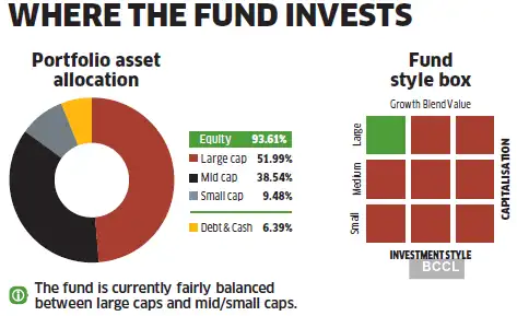 Tata Large & Mid Cap mutual fund review: Topping the performance charts ...
