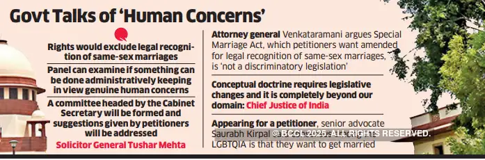 Panel Can Examine If Same Sex Couples Can Have Legal Rights The
