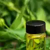 How to use neem oil to remove dandruff in just a few hair washes EconomicTimes