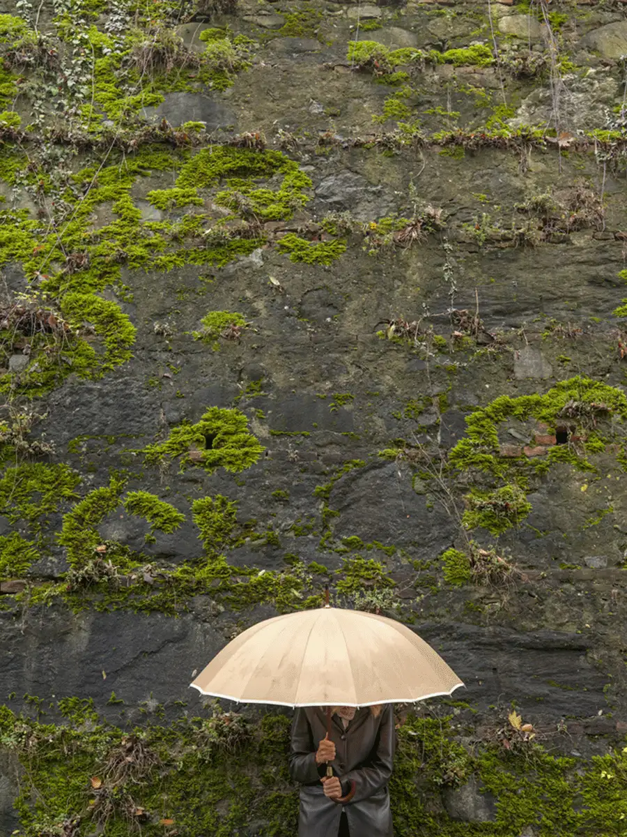 What is the difference between mediclaim and health insurance ...