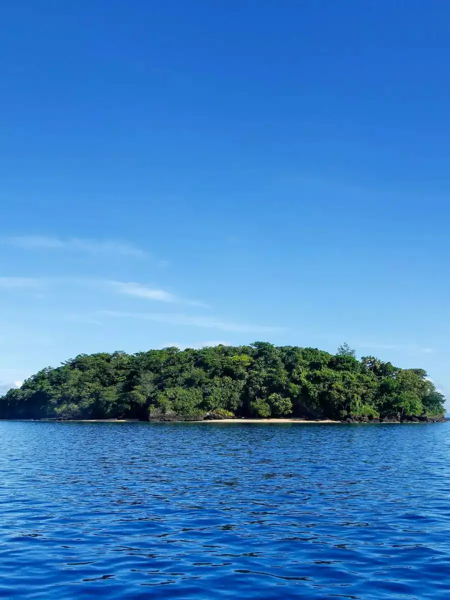 Fiji: Where Adventure Meets Paradise! | NewsPoint